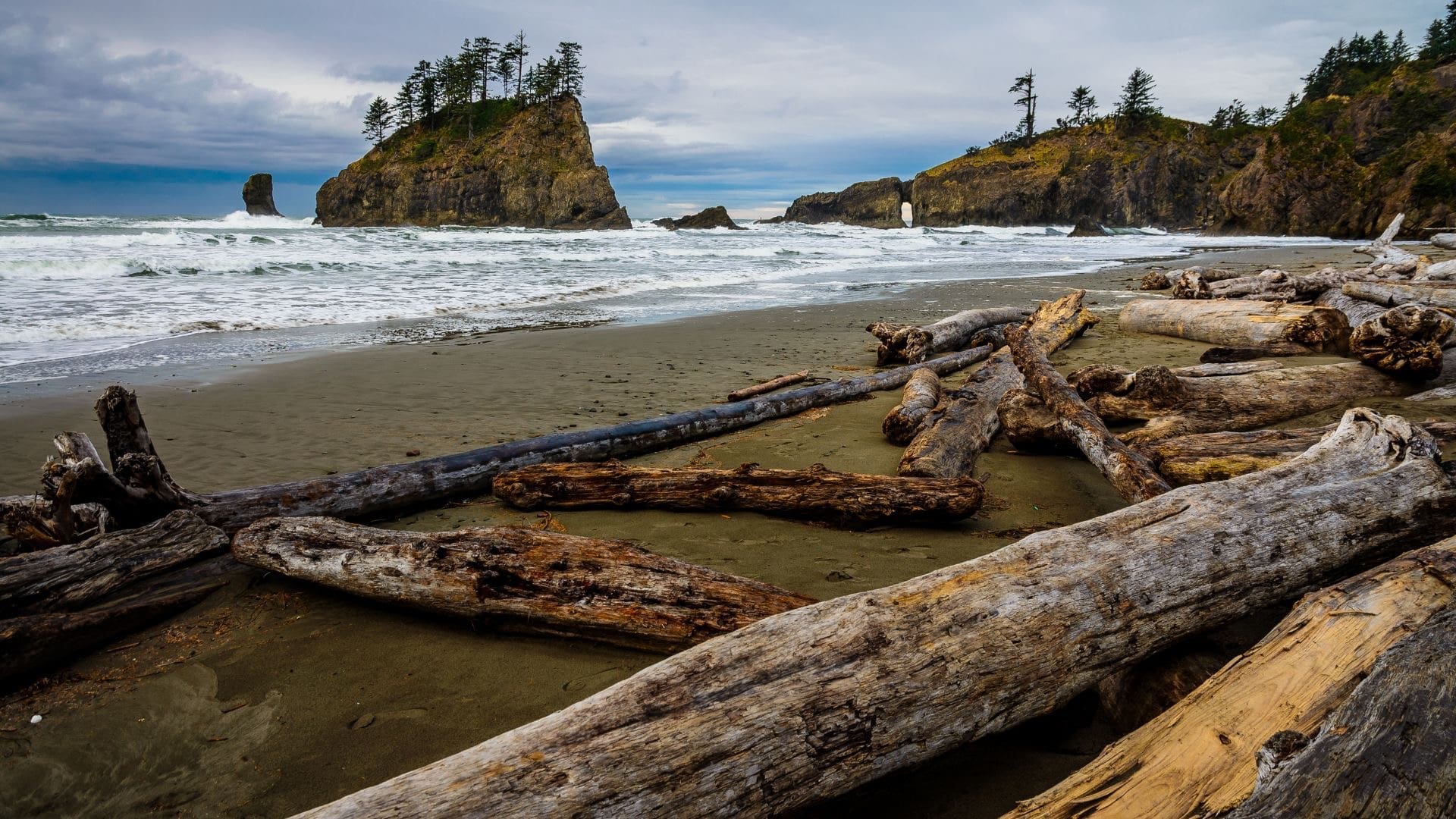 Unveil the Secret Paradise: Second Beach, Washington — LIVE THRIVE TRAVEL