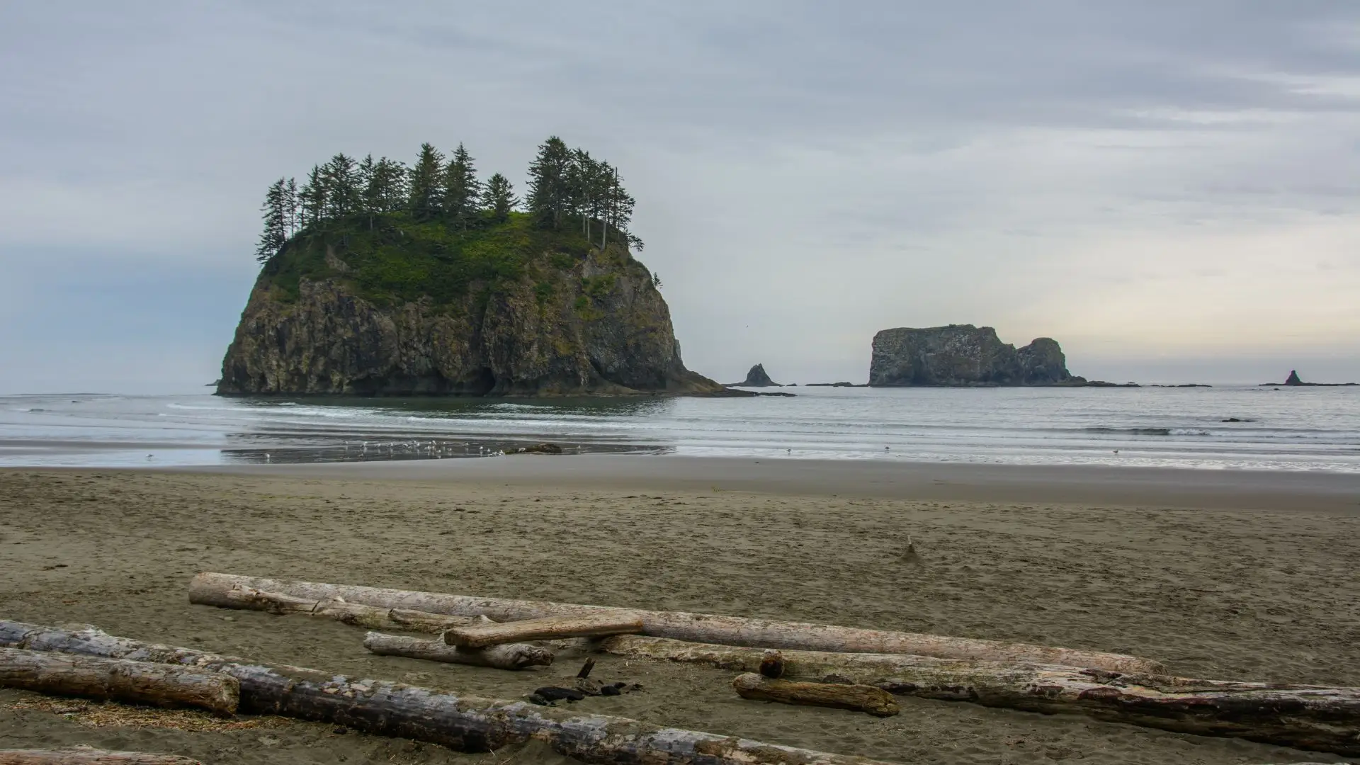 Unveil the Secret Paradise: Second Beach, Washington — LIVE THRIVE TRAVEL
